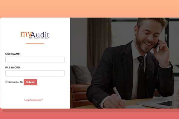 audit-software-in-india-audit-tool-in-india-audit-program-statutory